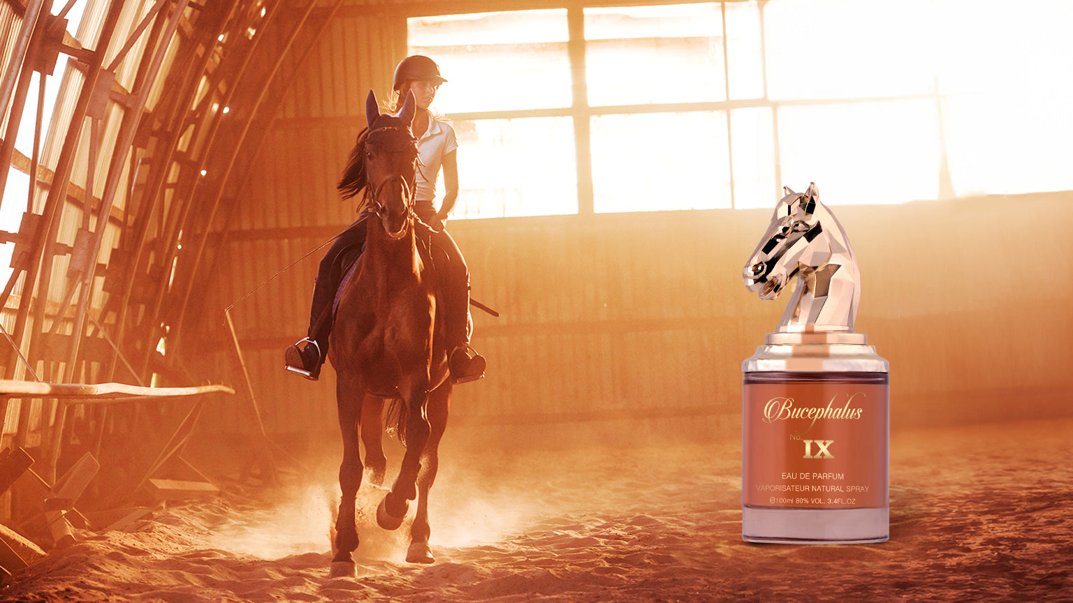 Buy BUCEPHALUS, Bold EAU DE PARFUM Crafted for Modern Legends By Armaf ...